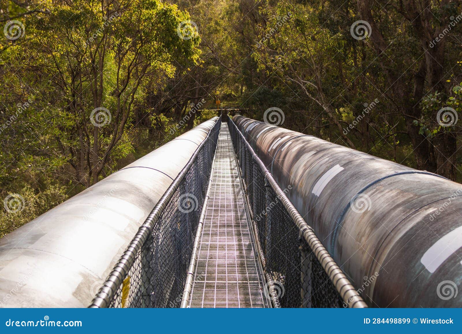 Bridge with Water Pipes on Both Sides. Stock Image - Image of woods ...