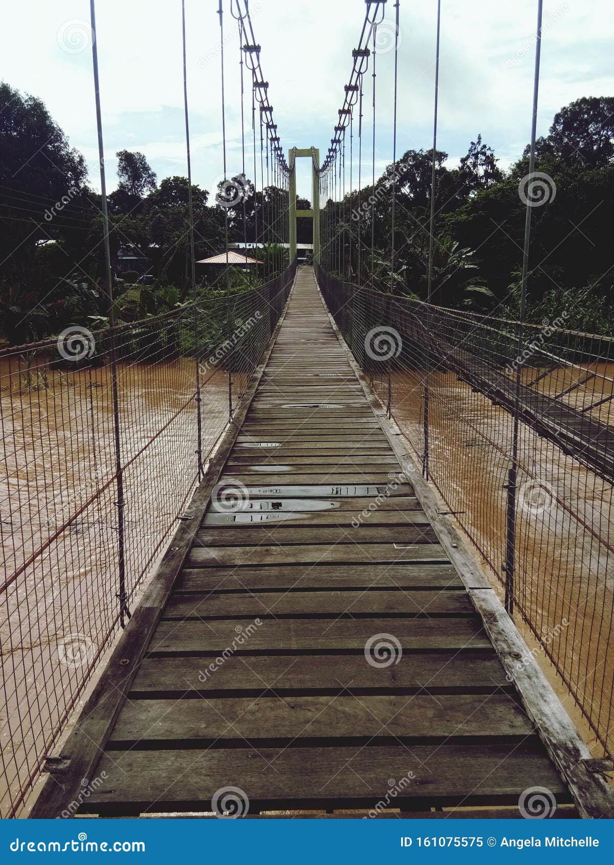 The Bridge, Where Our Paths Crossed. Stock Image - Image of hanging ...