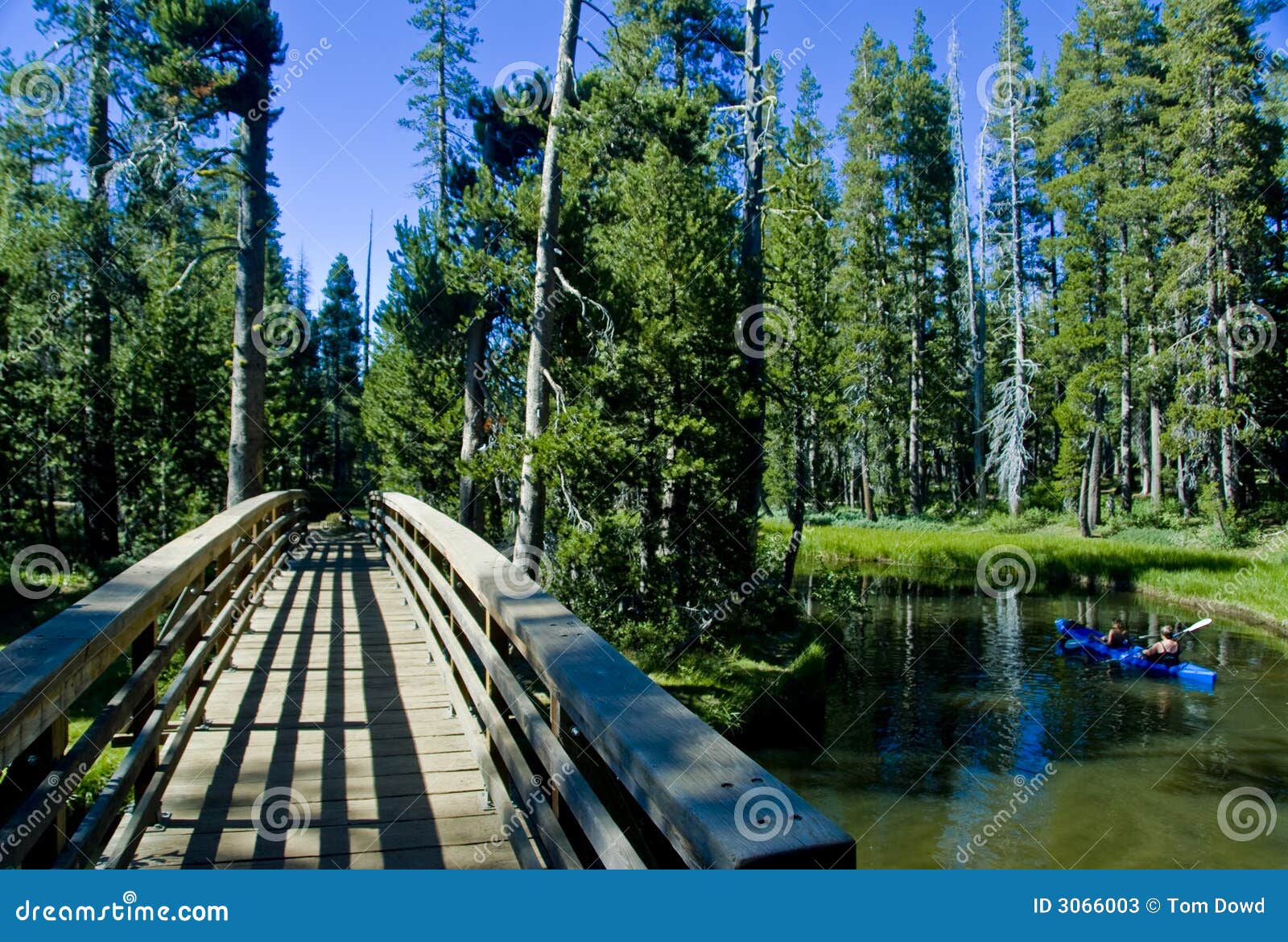 Bridge into the Wilderness stock image. Image of placid - 3066003
