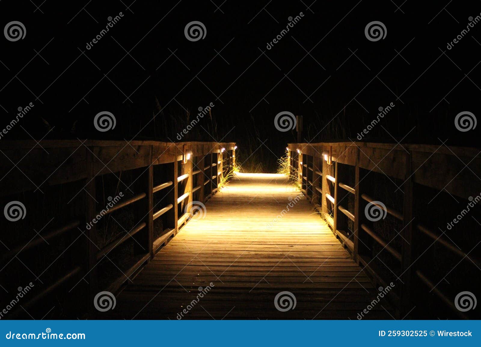 Bridge in Wilmington at Night with Yellow Lights Editorial Image ...