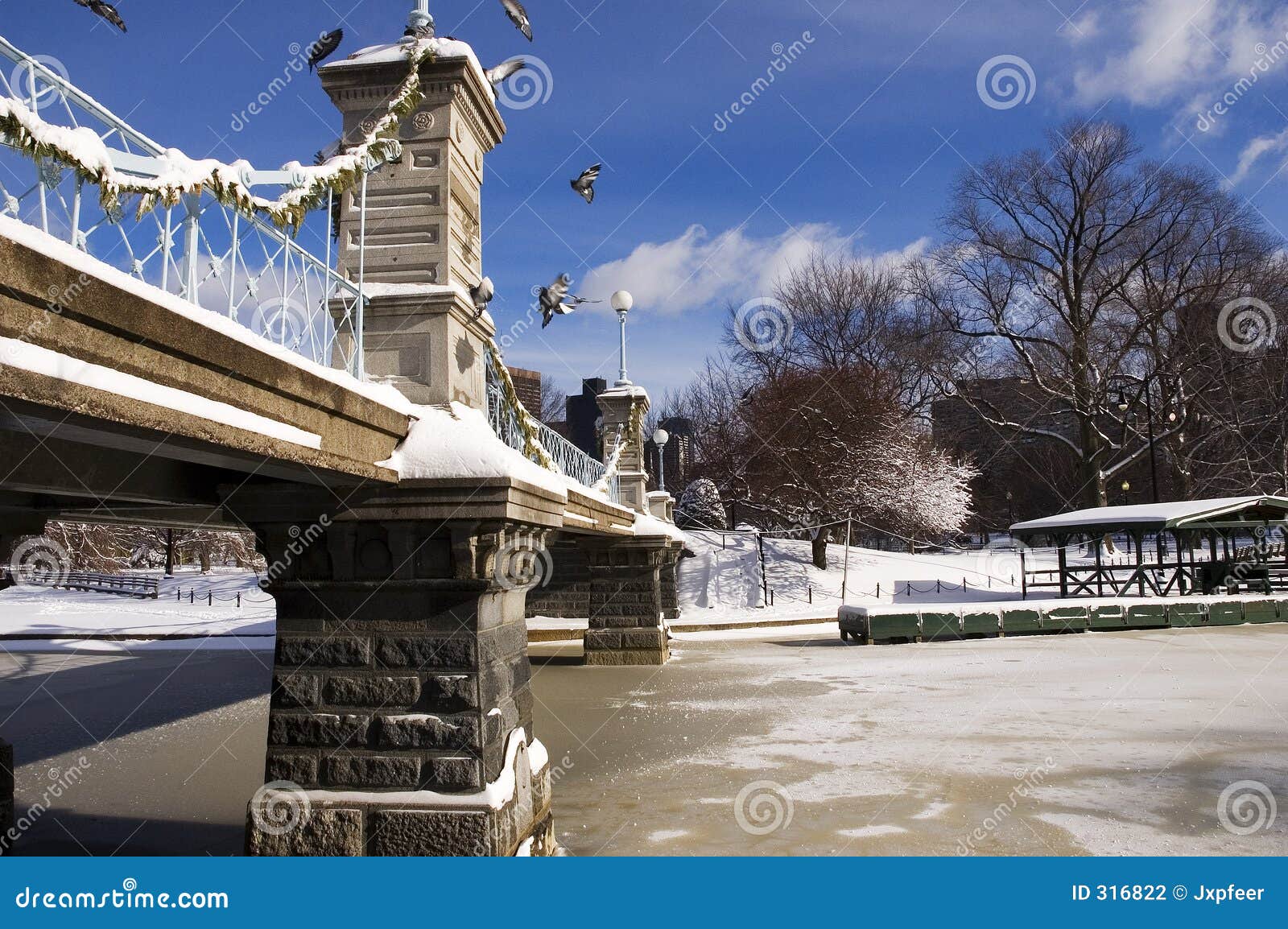 Bridge in the Winter stock photo. Image of branch, white - 316822