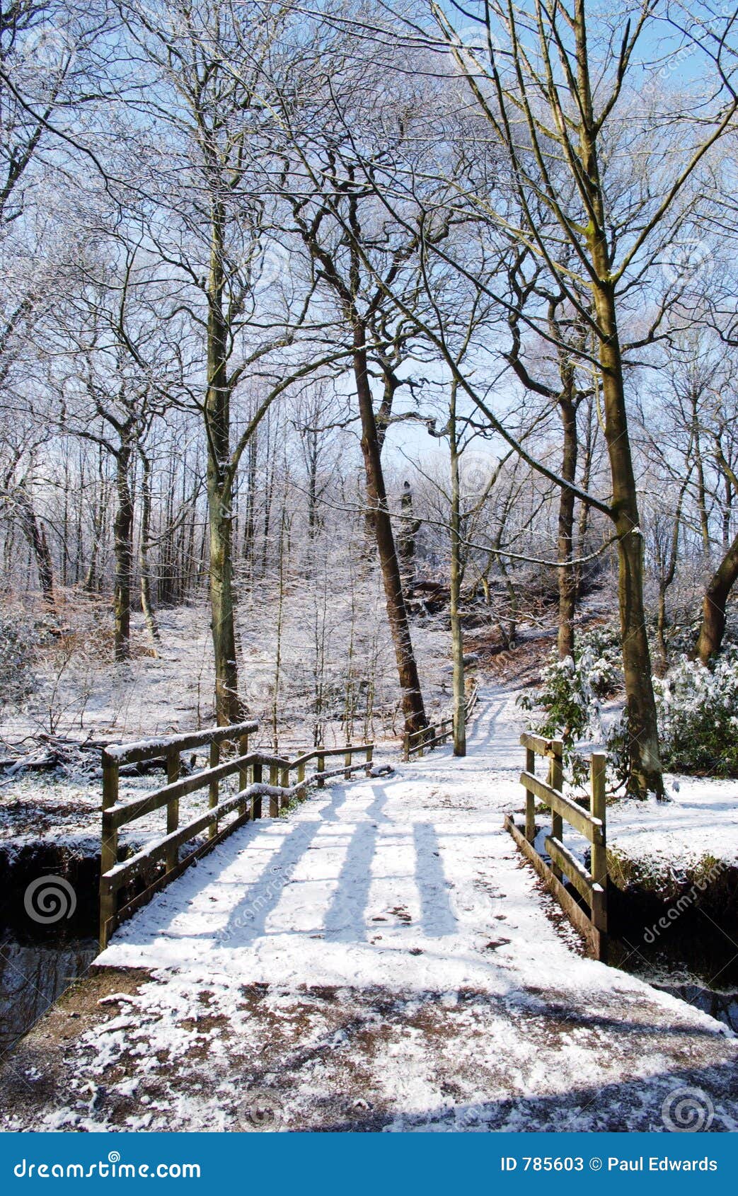 The Bridge in winter stock image. Image of woodland, trees - 785603