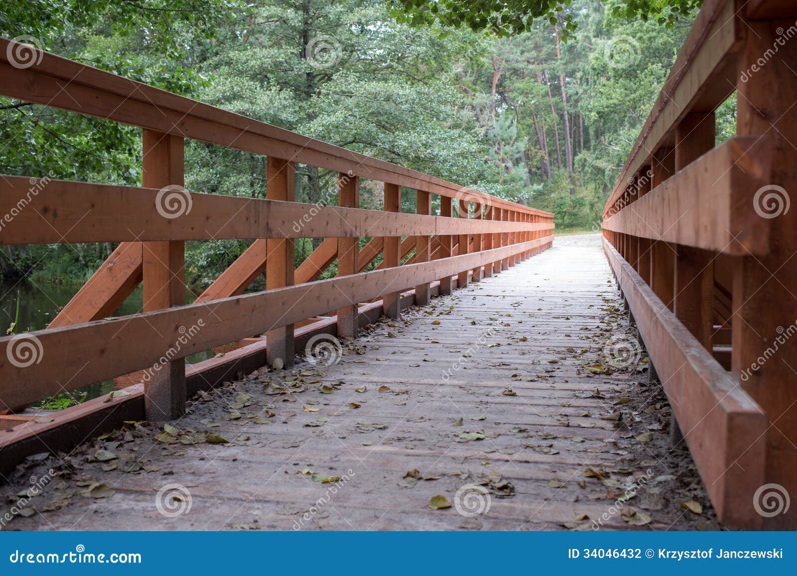 The bridge. stock photo. Image of brown, space, outdoors - 34046432