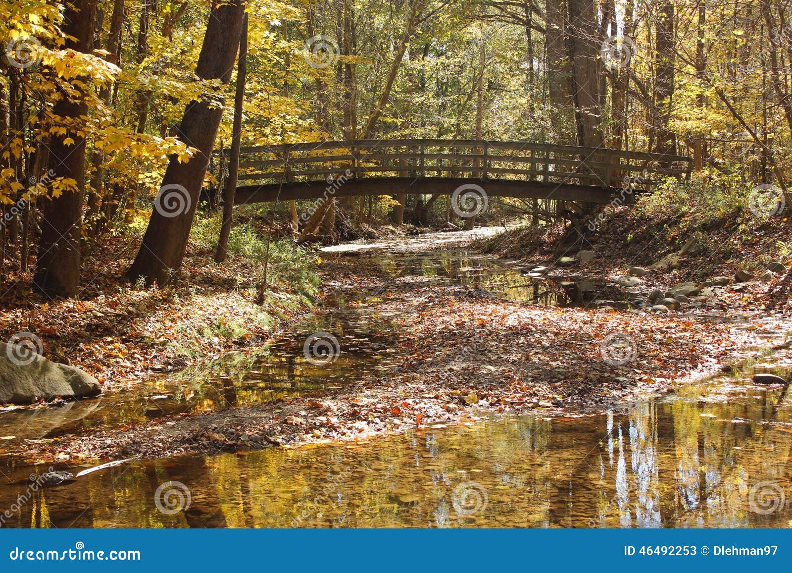 Bridge in the woods stock image. Image of crossing, small - 46492253