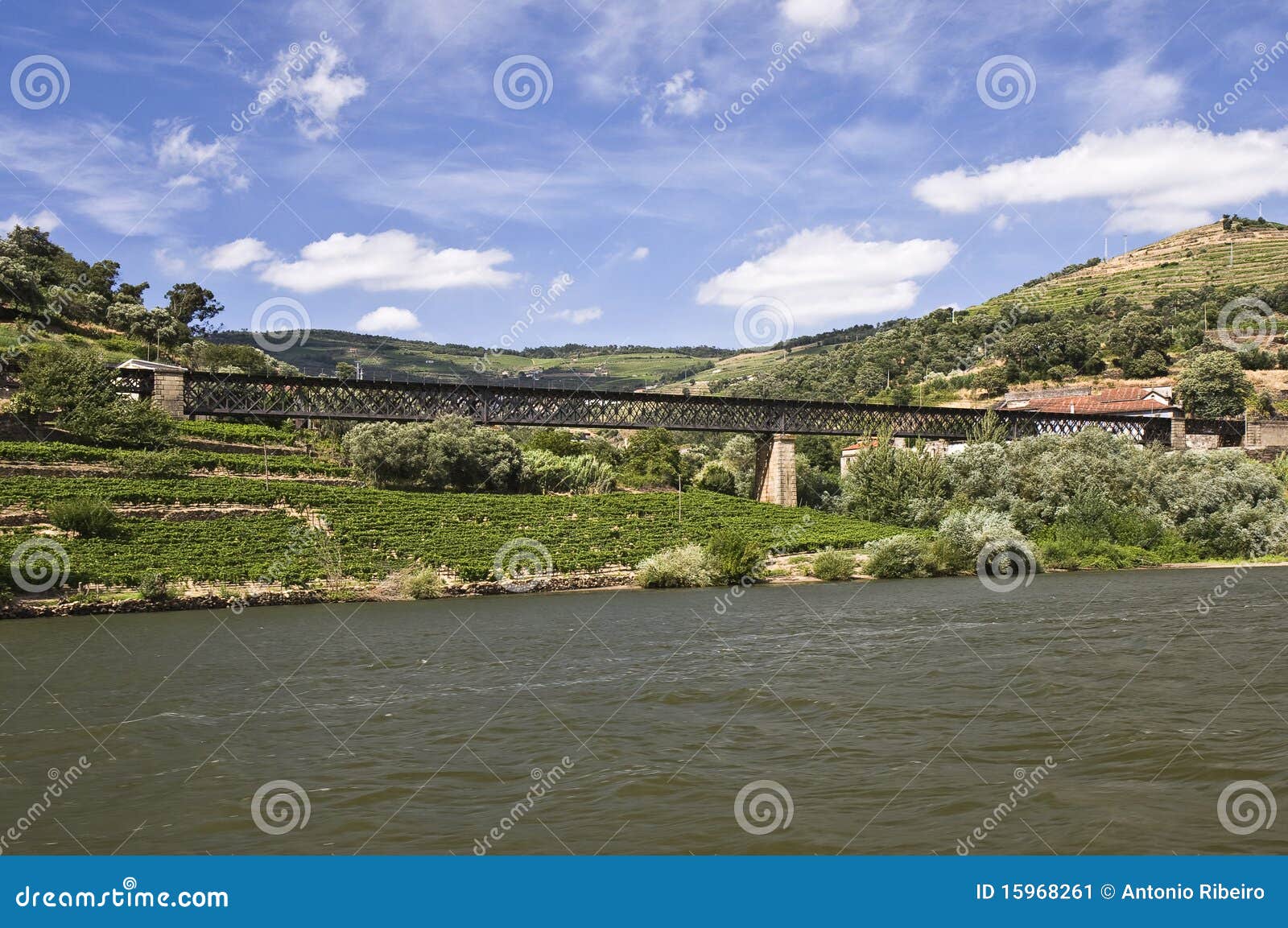 Bridges of the Douro River stock image. Image of valley - 15968261