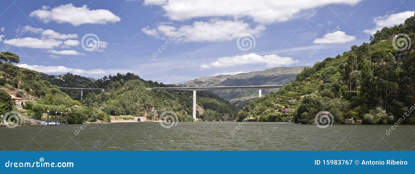 Bridges of the Douro River stock image. Image of wine - 15983767