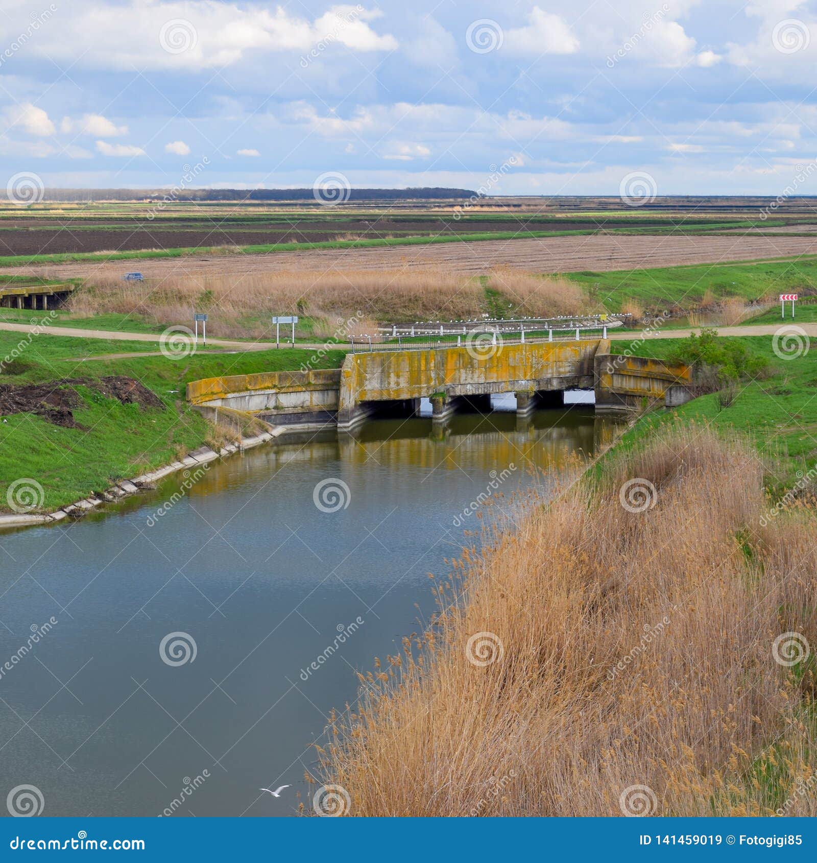 Bridges through Irrigation Canals. Rice Field Irrigation Stock Image ...