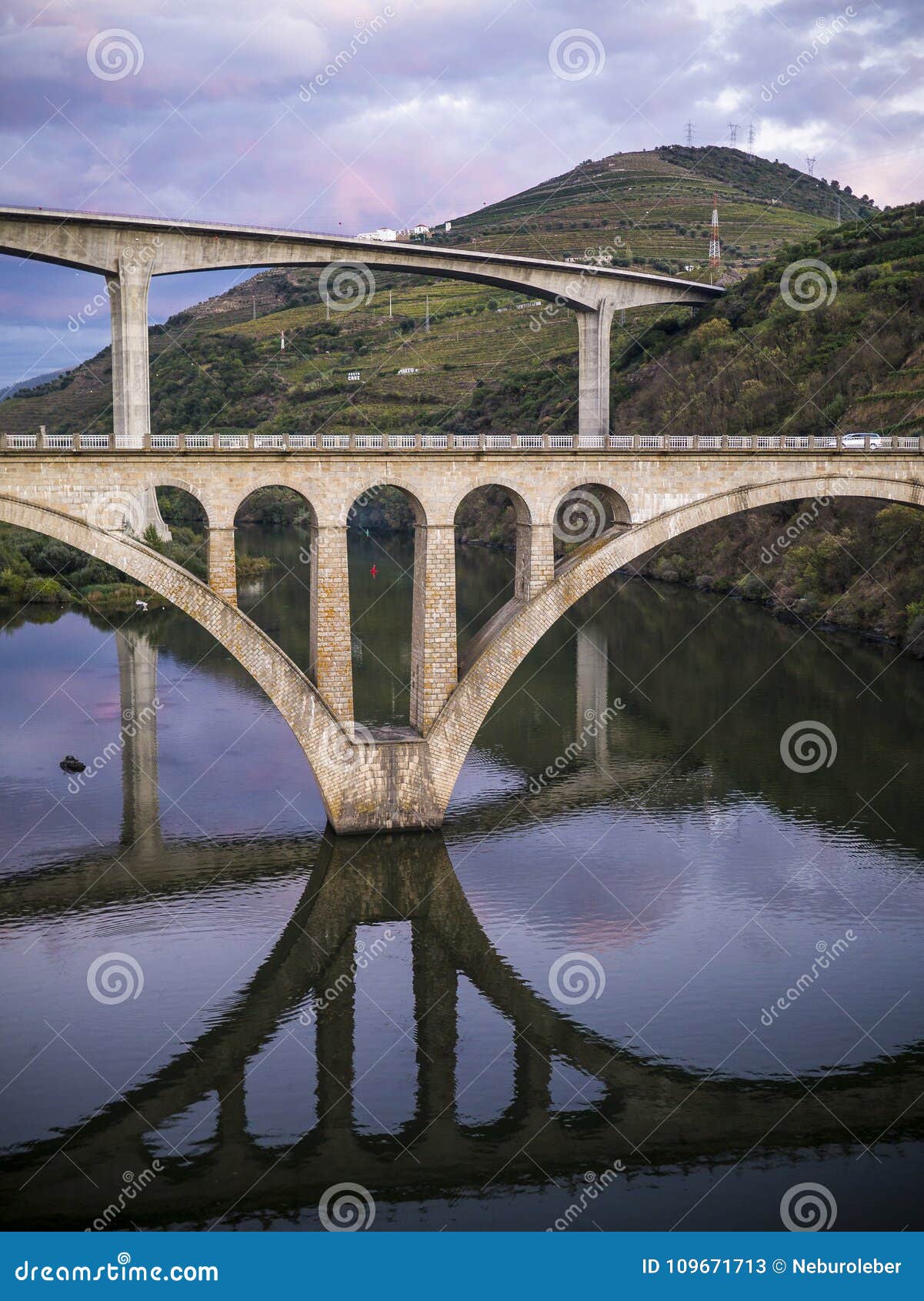 Bridges over Douro stock image. Image of plant, lamego - 109671713