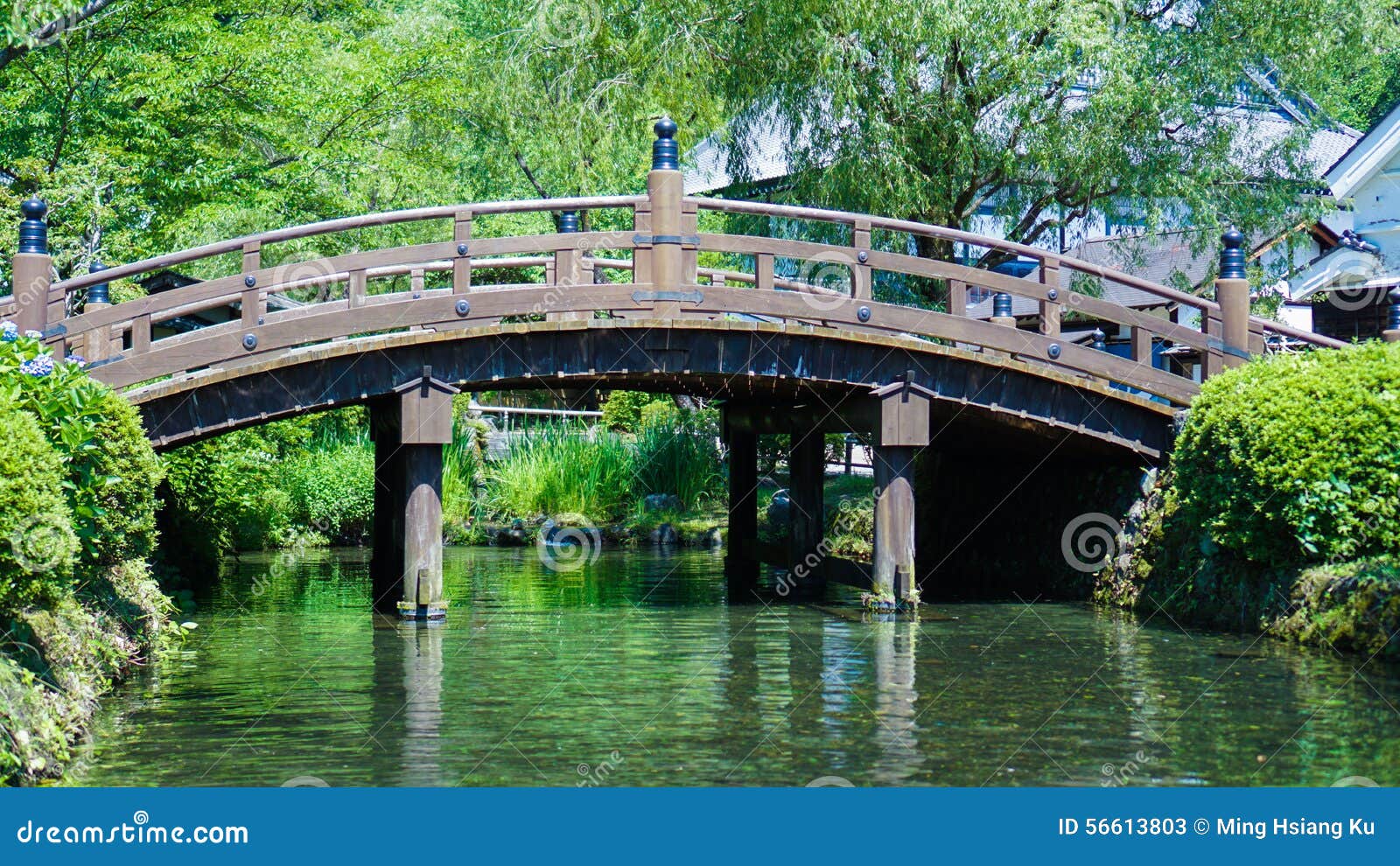 Bridges and river stock image. Image of masks, hydrangea - 56613803