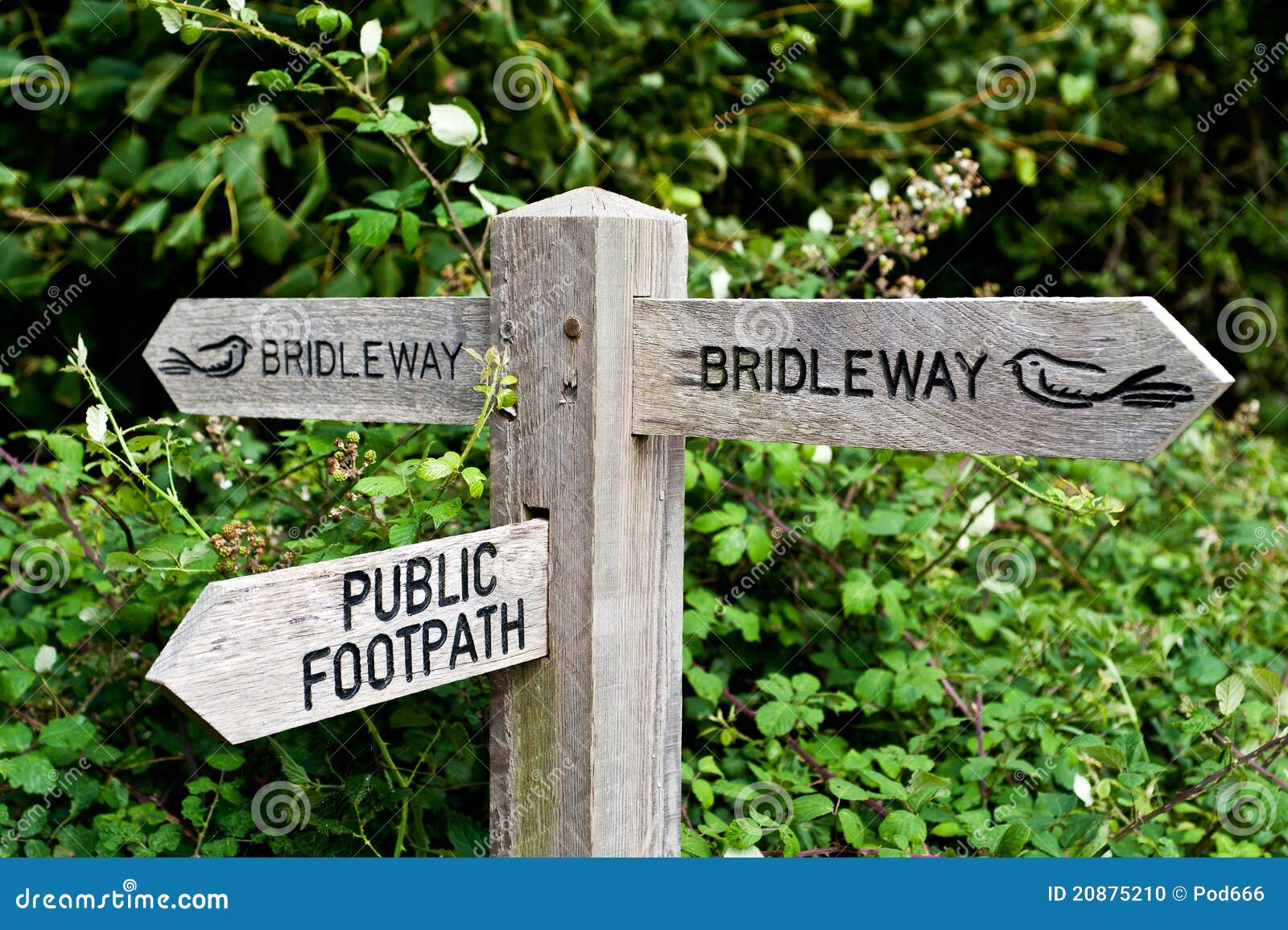 Bridleway and Public Footpath Stock Photo - Image of england, hills ...