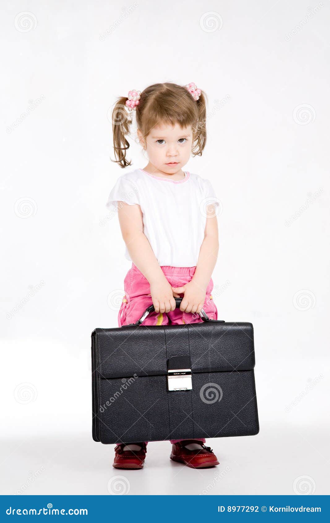 Briefcase stock photo. Image of concepts, face, customer - 8977292