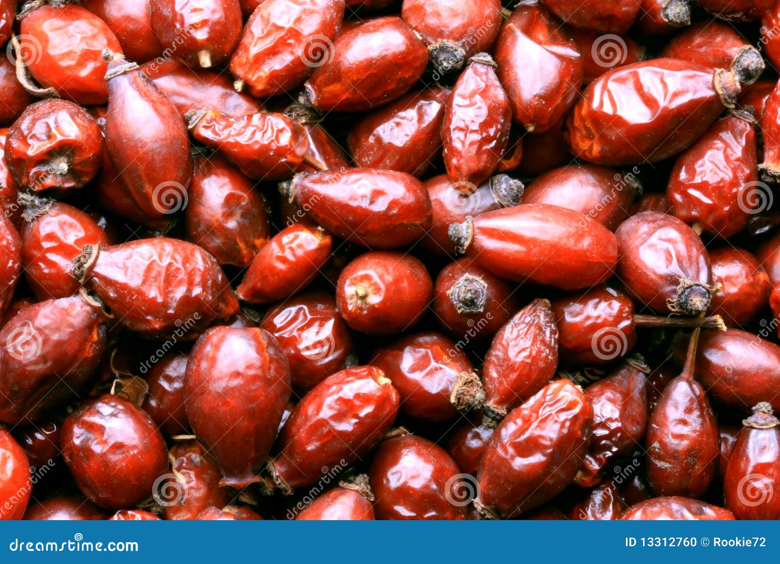 Briers stock photo. Image of wild, fruit, nature, drink - 13312760