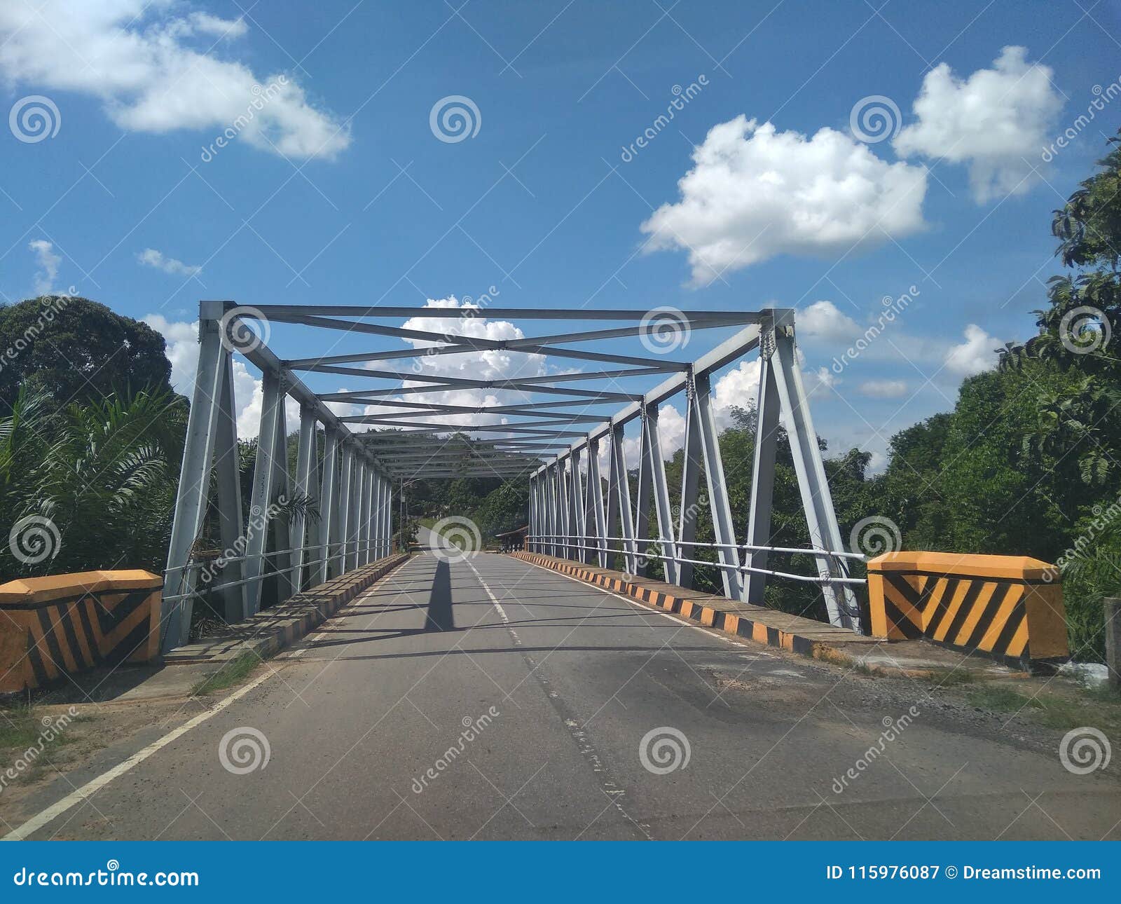 Brigde forest stock image. Image of highway, bridge - 115976087
