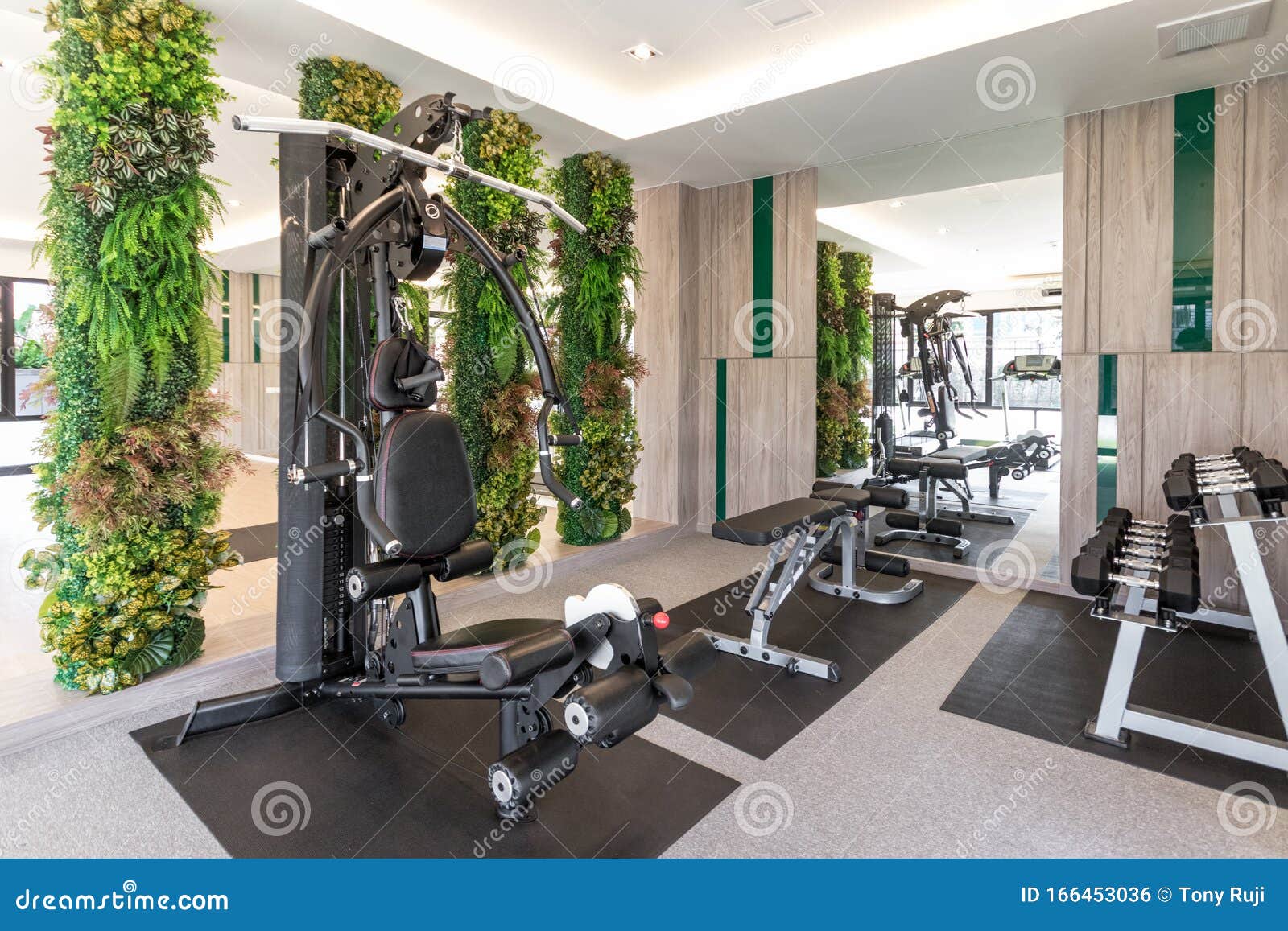 Bright and Airy Large Gym Room Stock Photo - Image of healthy, heavy ...