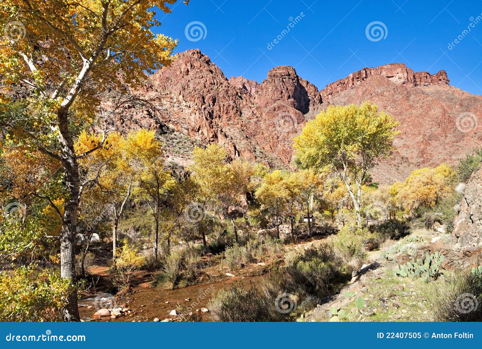 Bright Angel Creek stock image. Image of grand, water - 22407505