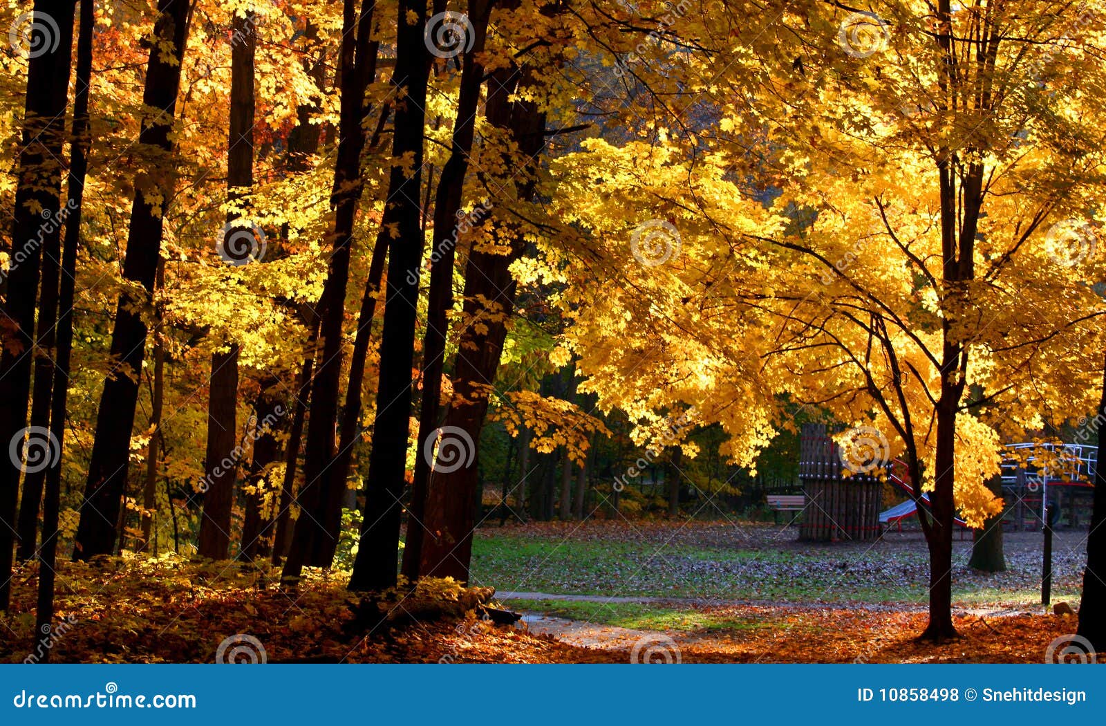 Bright autumn colors stock photo. Image of bright, bench - 10858498