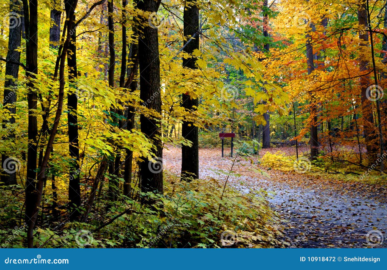 Bright autumn colors stock photo. Image of postcard, seasonal - 10918472