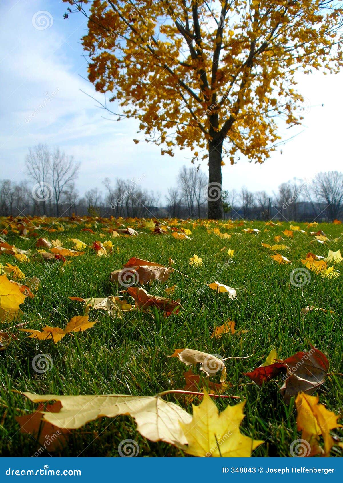 Bright Autumn Day stock image. Image of colors, leaves - 348043