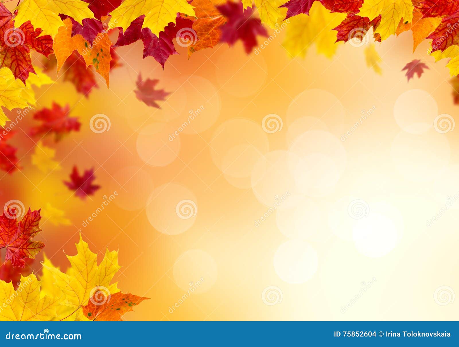 Bright autumn leaves. stock illustration. Illustration of yellow - 75852604