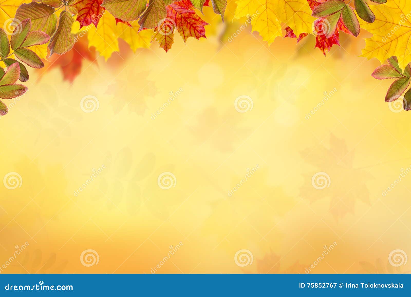 Bright autumn leaves. stock illustration. Illustration of light - 75852767
