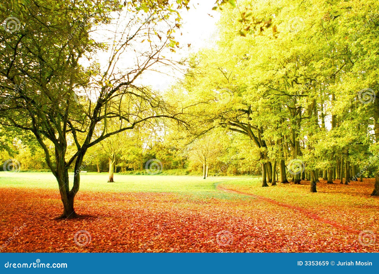 Bright autumn scenery stock image. Image of land, colors - 3353659