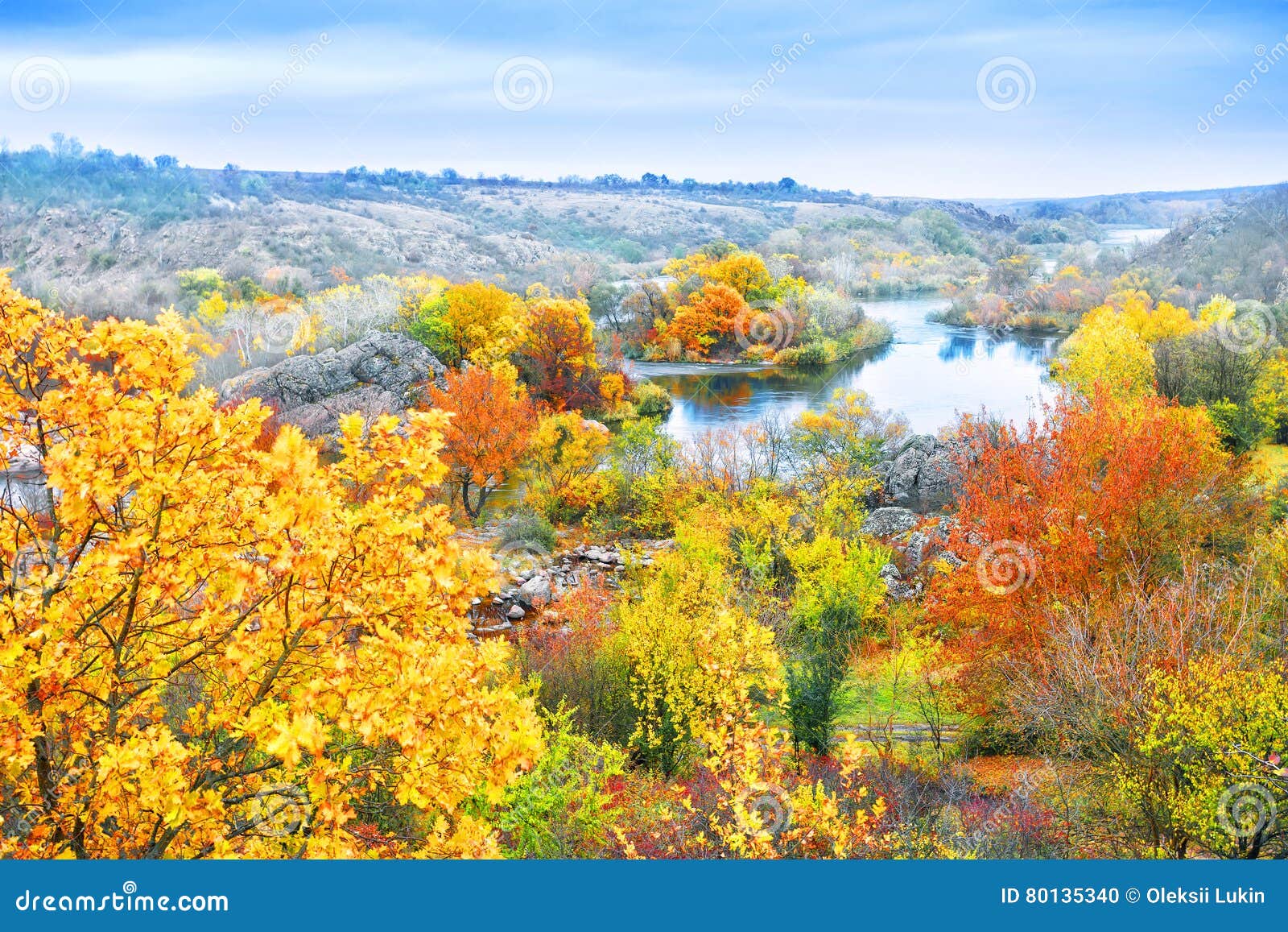 Bright Autumn Trees on the Bank of Stream Stock Photo - Image of leaf ...