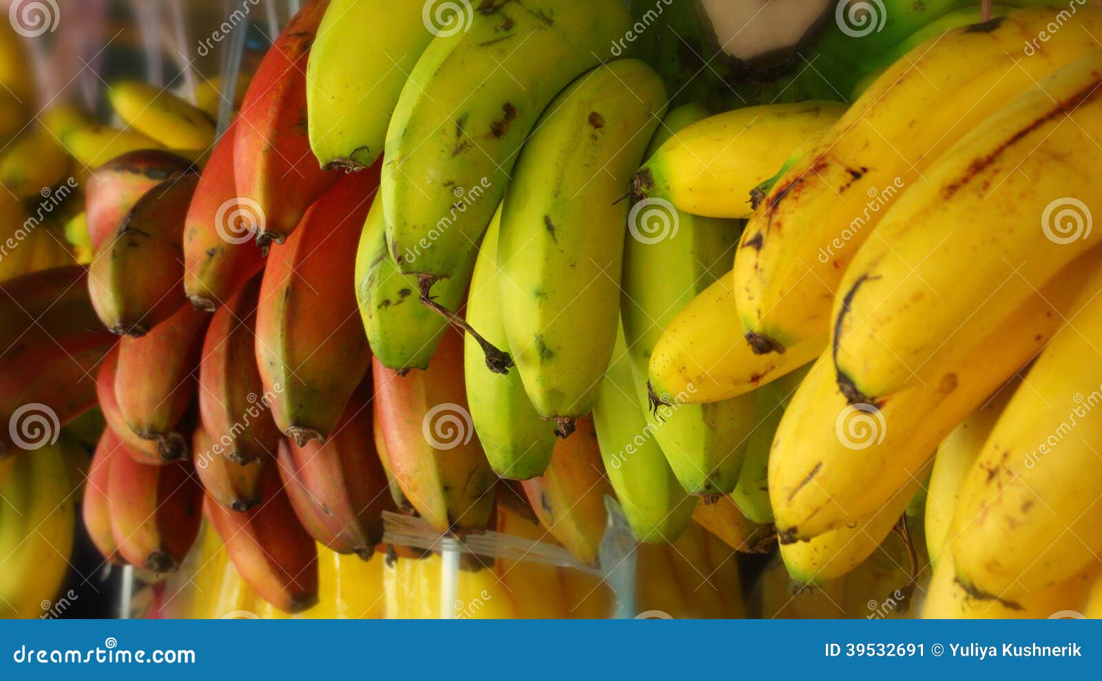 Bright bananas stock image. Image of group, multi, bananas - 39532691