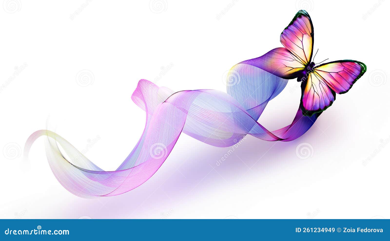 Bright Beautiful Butterfly stock image. Image of motion - 261234949