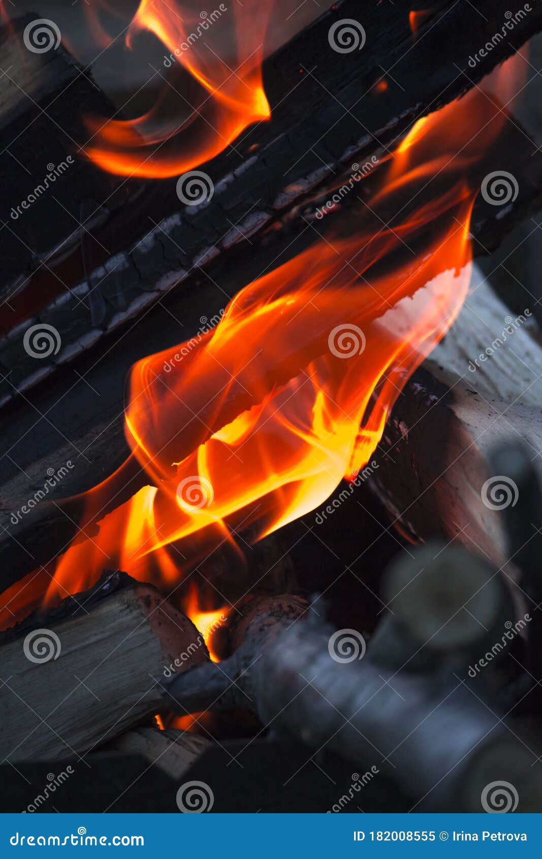 Bright Beautiful Flames on a Fire Made of Wood Stock Image - Image of ...