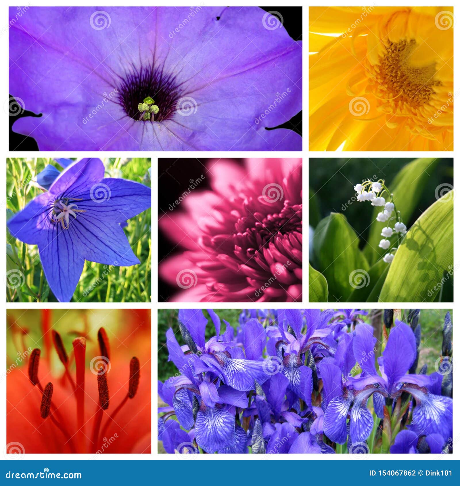 Bright Beautiful Flowers Collage Stock Photo - Image of bloom, design ...