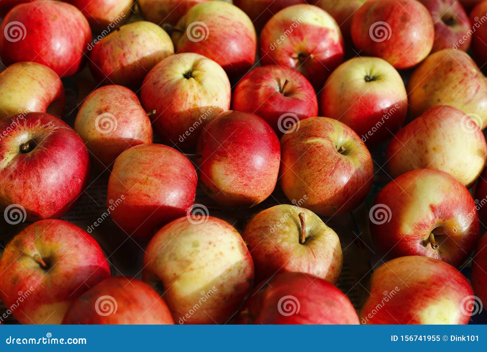 Bright Beautiful Ripe Apples Stock Image - Image of color, garden ...