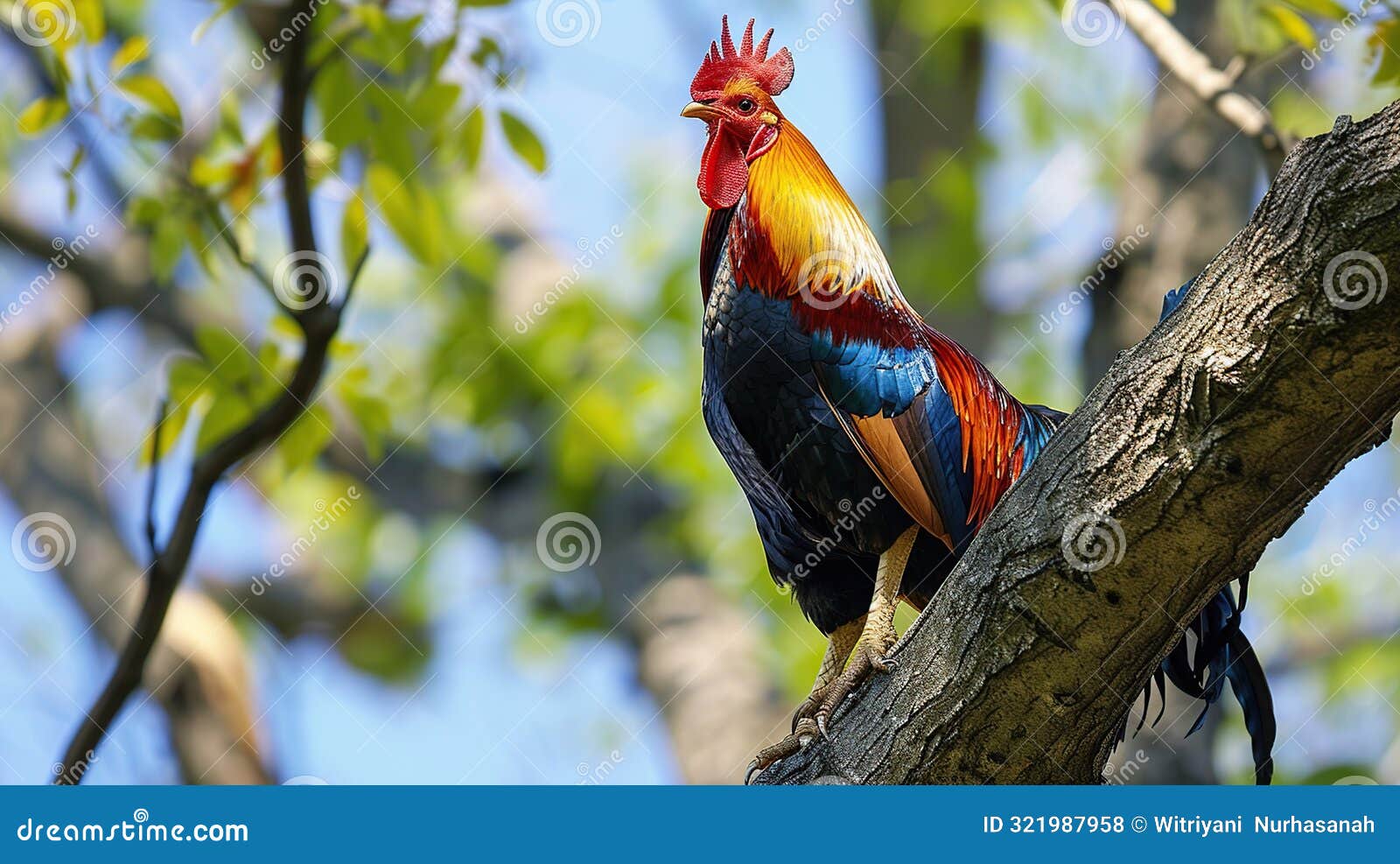 Bright Beautiful Rooster, in Tree Branch. Generative Ai Stock ...