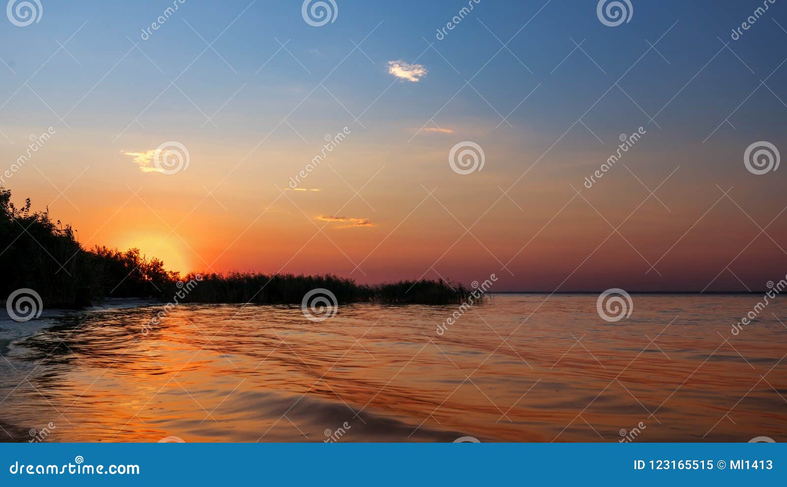 Wilderness Sunset on the Background of a Cane Stock Image - Image of ...