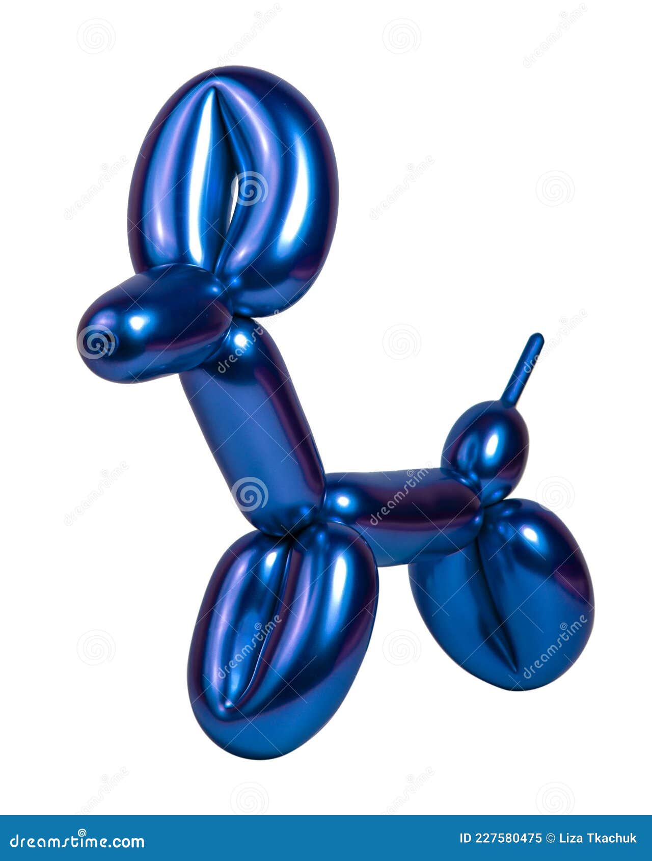 Bright Blue Balloon Dog Figure Isolated on the White Background Stock ...