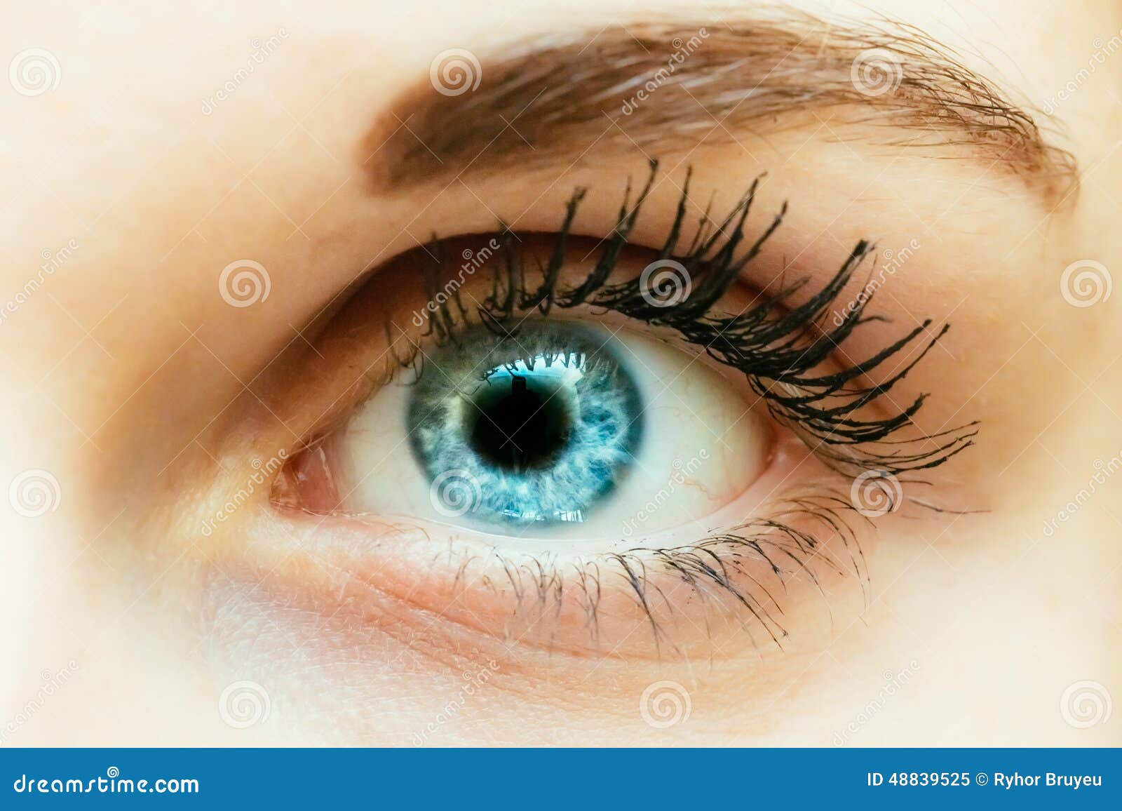 Bright Blue Eye Close Up stock image. Image of health - 48839525