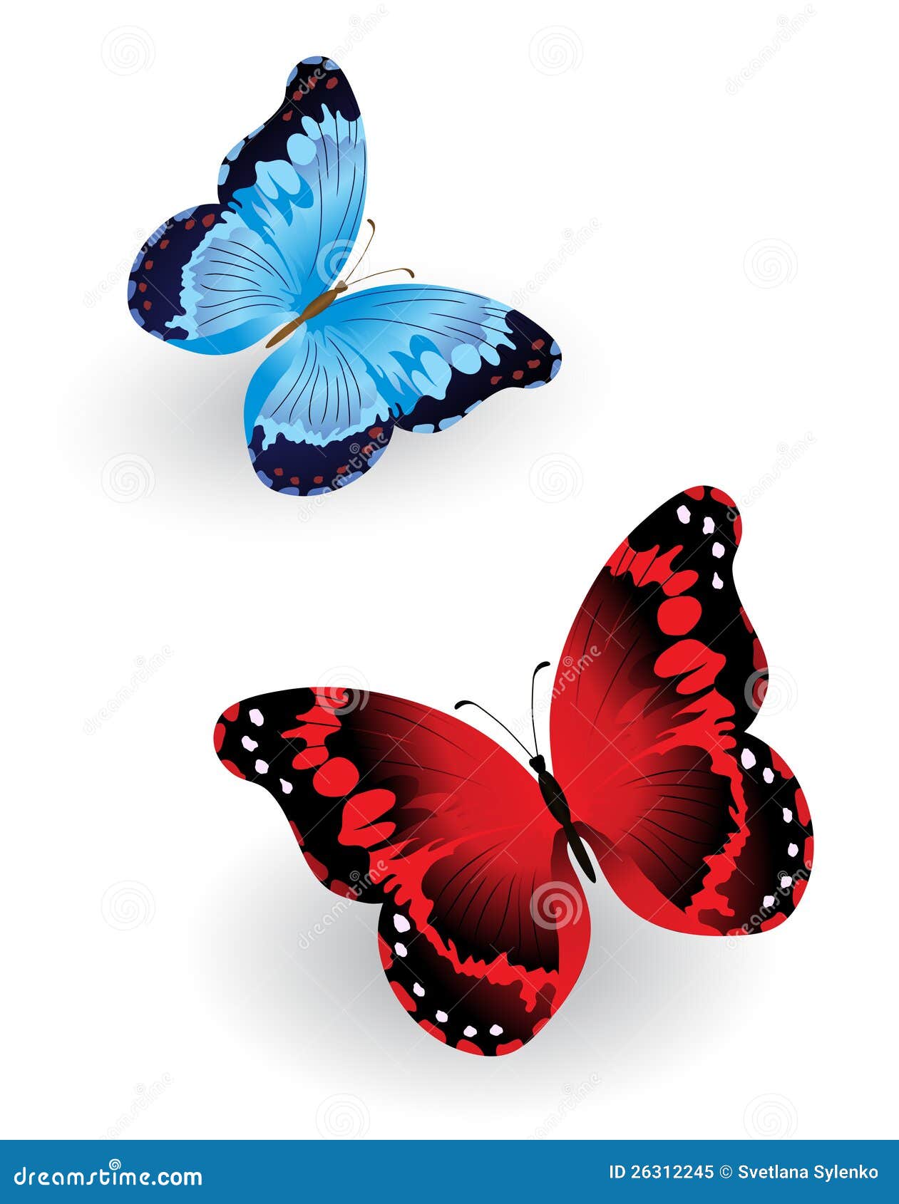 Bright Blue and Red Butterfly Stock Vector - Illustration of insect ...