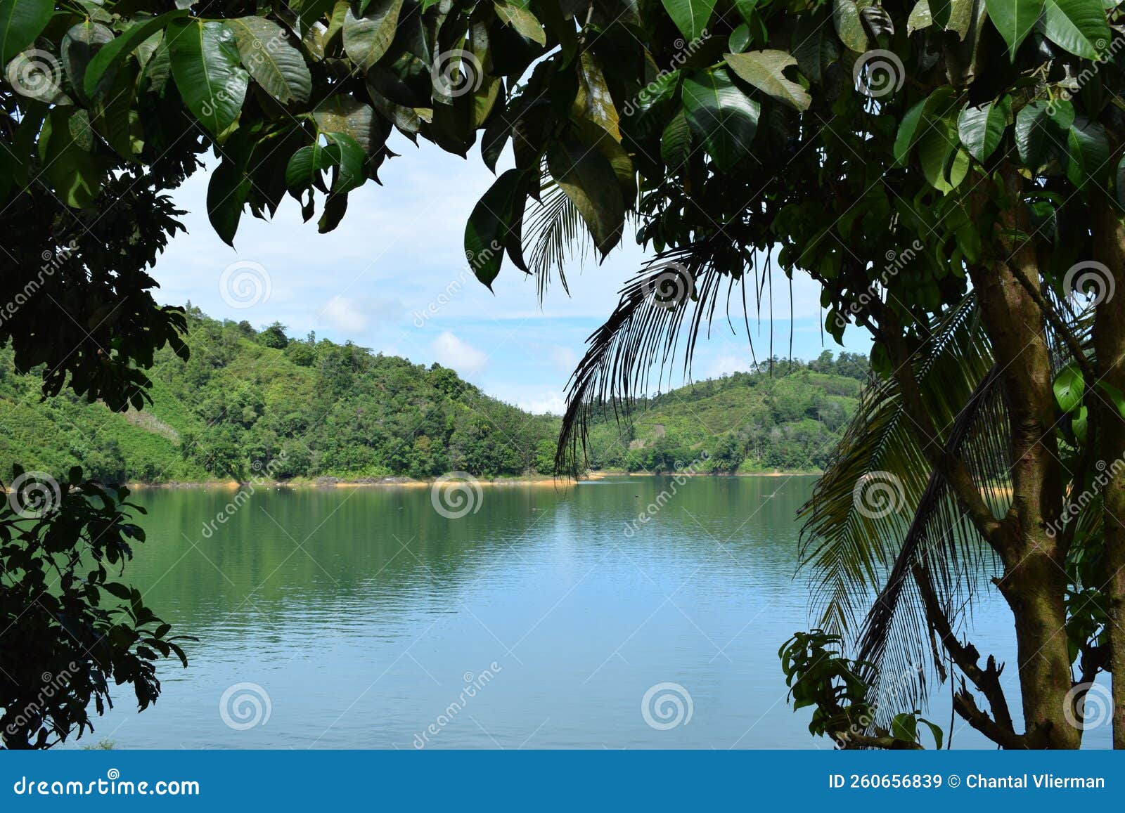 Bright Blue River View in Malaysia Stock Image - Image of branch, view ...