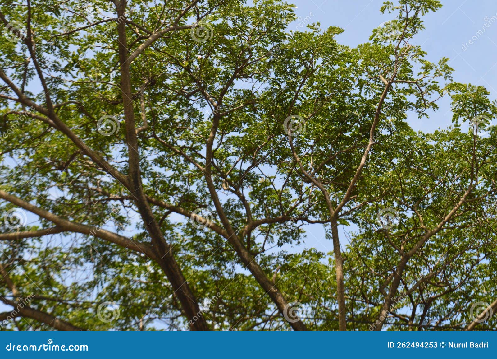 Bright Blue Sky Background with Negative Space or Empty Space Decorated ...