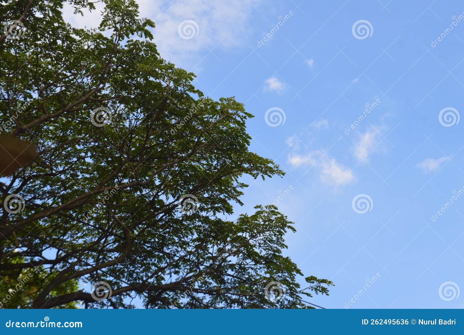 Bright Blue Sky Background with Negative Space or Empty Space Decorated ...