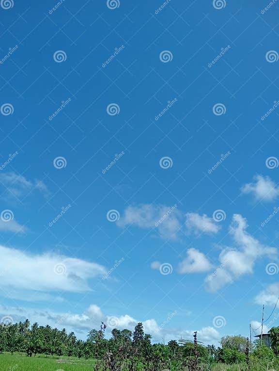 Bright blue sky at noon. stock photo. Image of blue - 355349948
