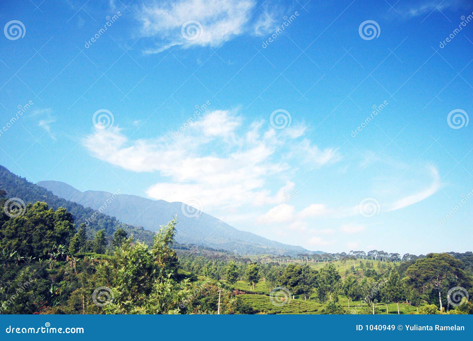 A Bright Blue Sky Over the Peak Stock Image - Image of garden, cibodas ...