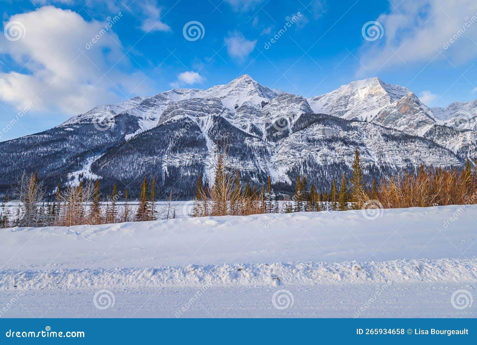 Snow Covered Mountains in Canmore Stock Photo - Image of pine, wintry ...