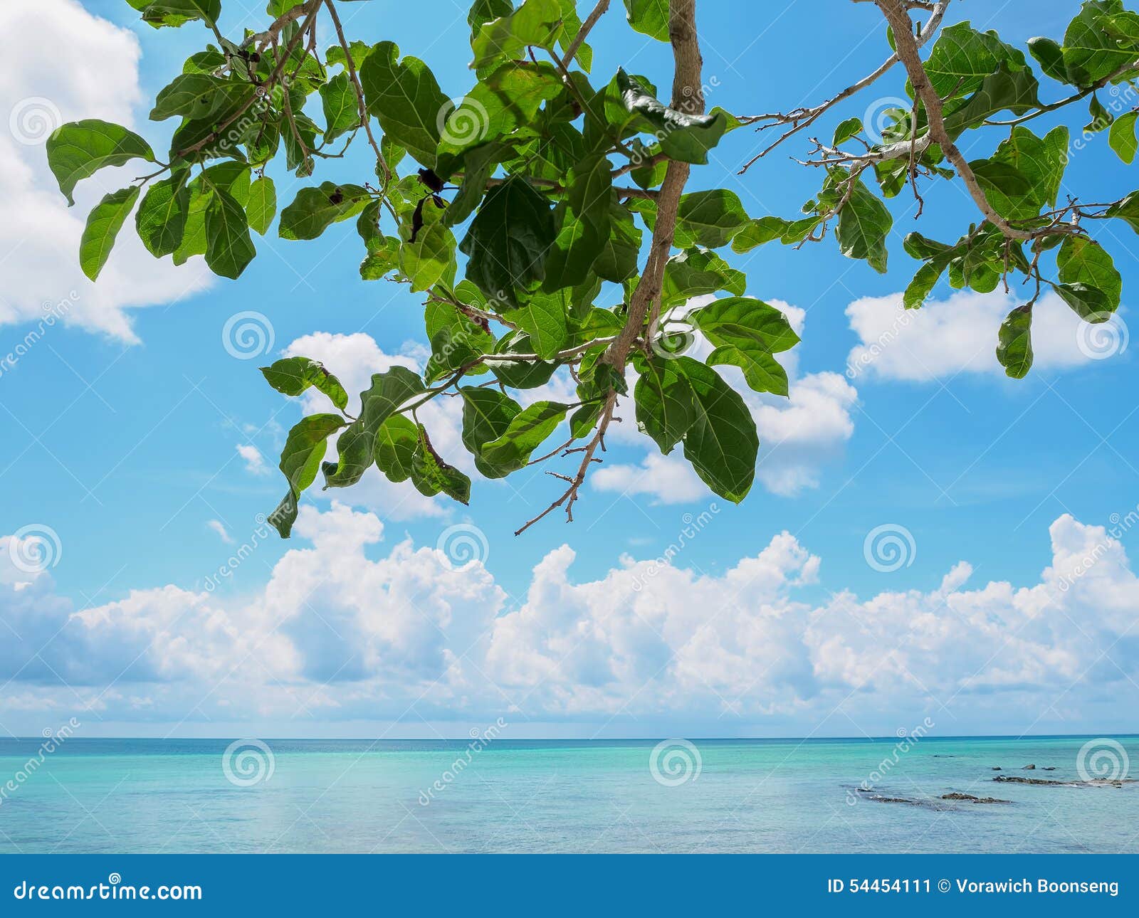 Bright Blue Sky with Sea Beach and Tree Branch Stock Image - Image of ...