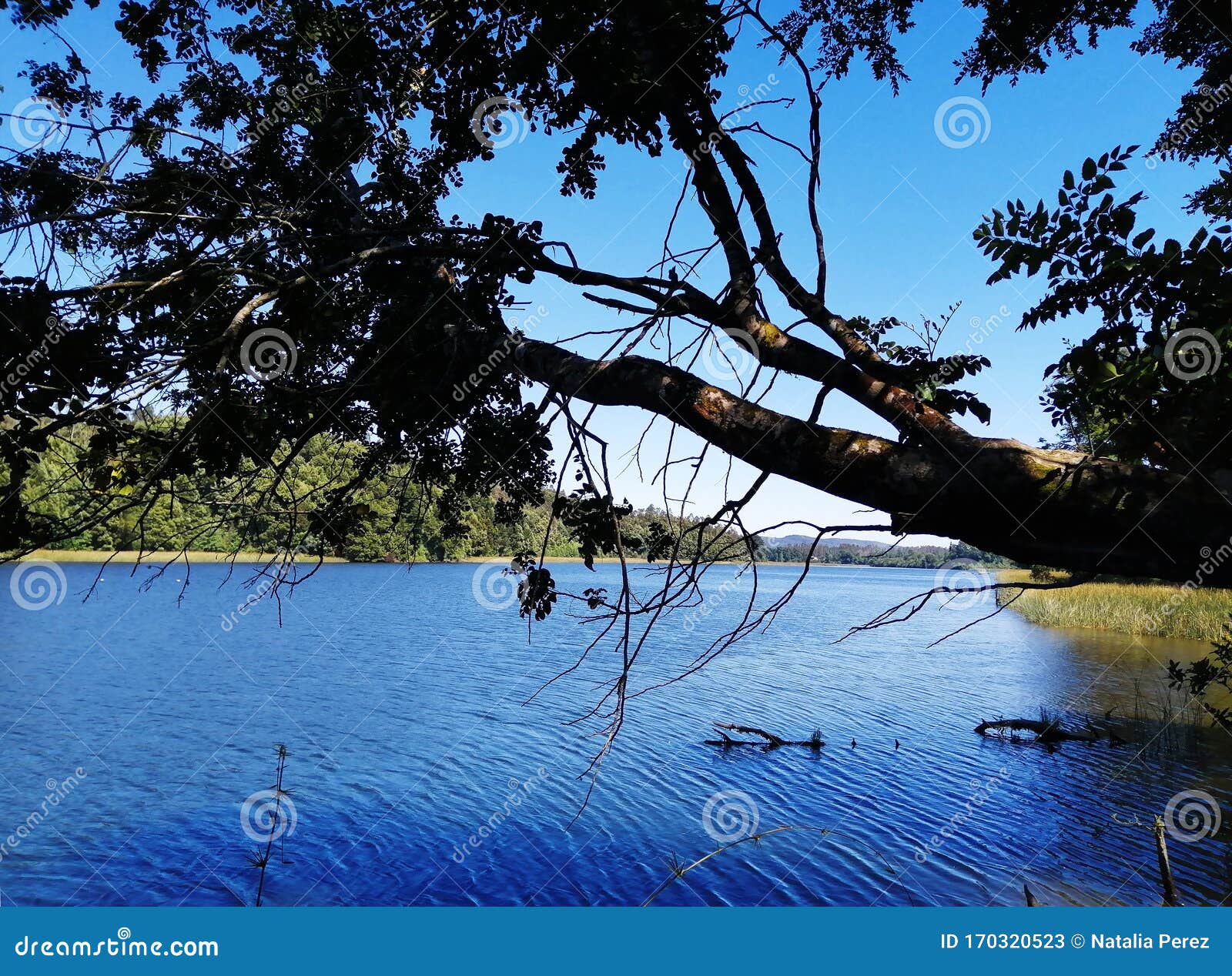 Bright blue waving river stock image. Image of escenery - 170320523