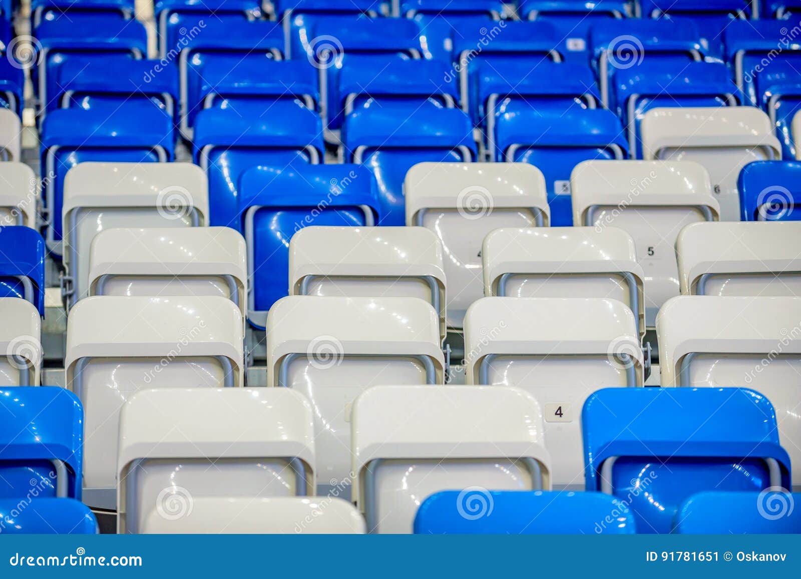 Bright Blue and White Stadium Seat Stock Image - Image of ground ...
