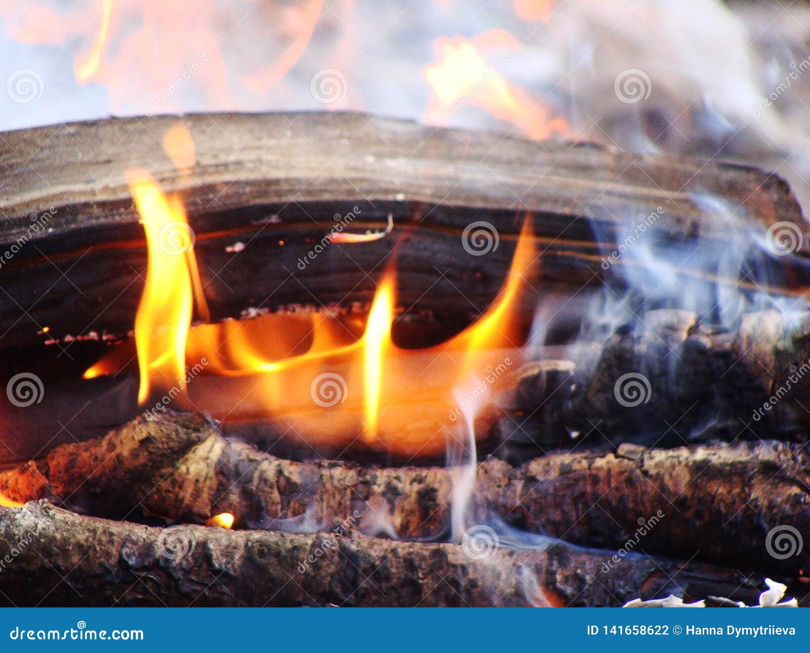 Bright bonfire large logs stock photo. Image of fire - 141658622