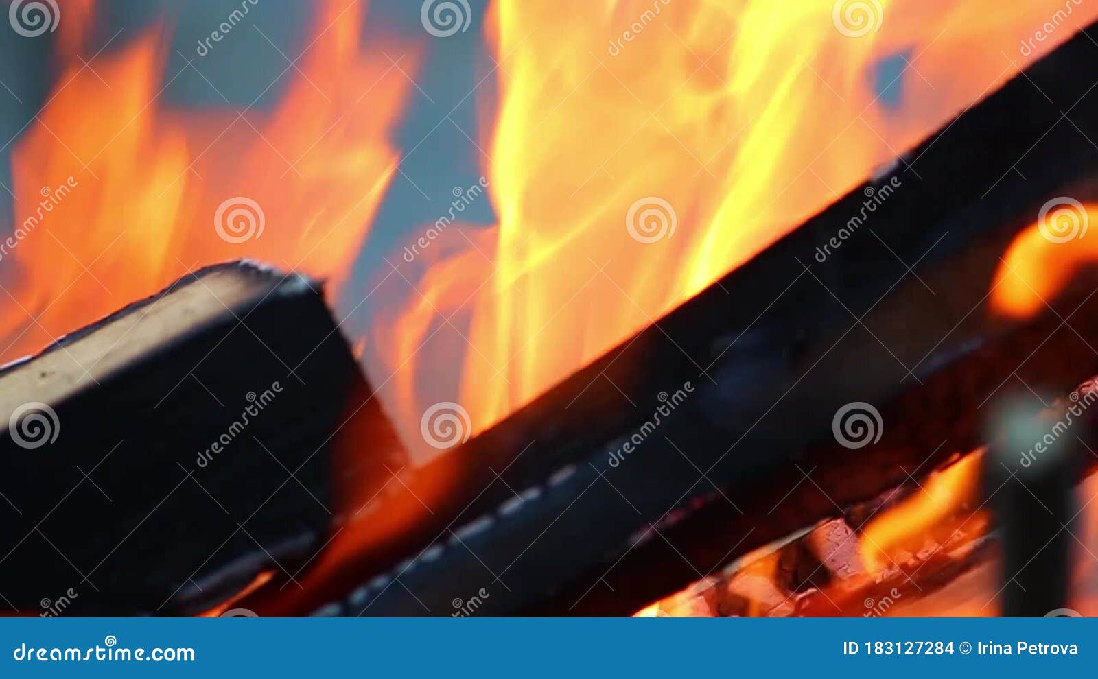 Bright Burning Fire on Birch Logs in the Fire Stock Footage - Video of ...