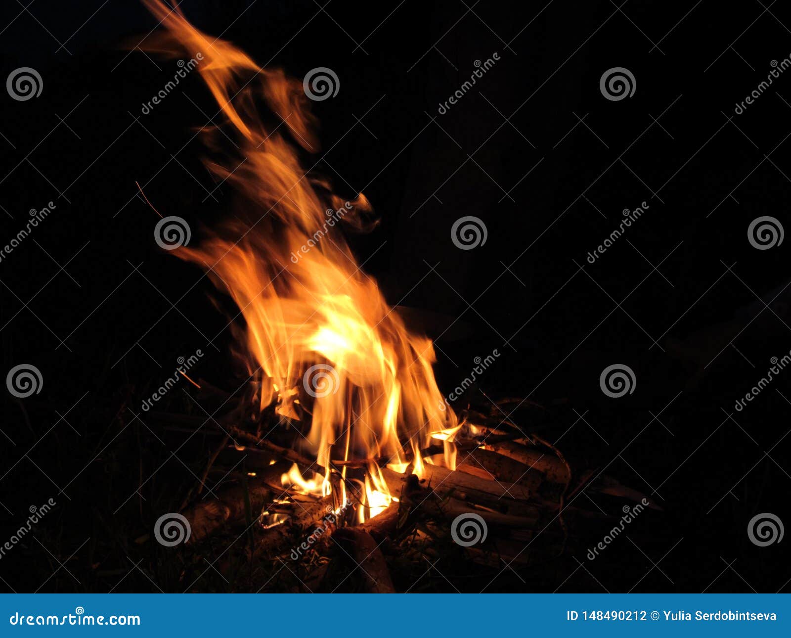 Bright Camp Fire in a Summer Night Stock Photo - Image of blurred ...