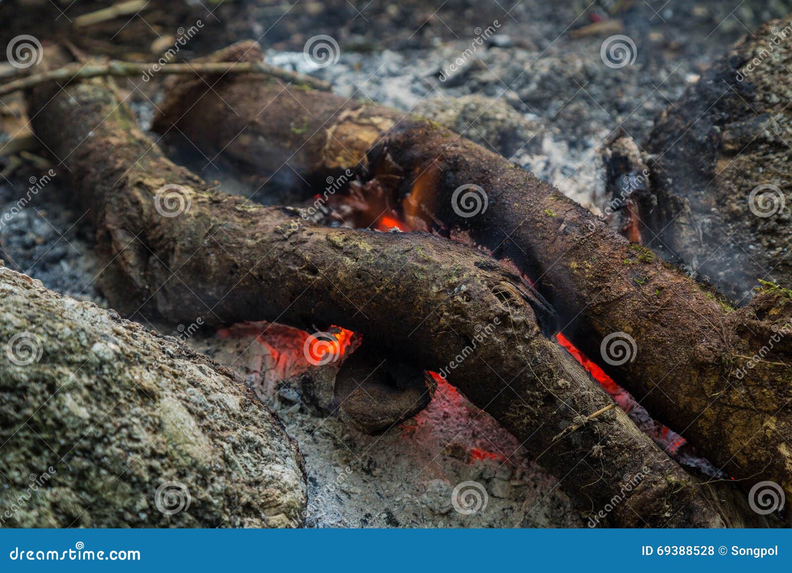 Bright campfire. stock photo. Image of heat, foods, campfire - 69388528