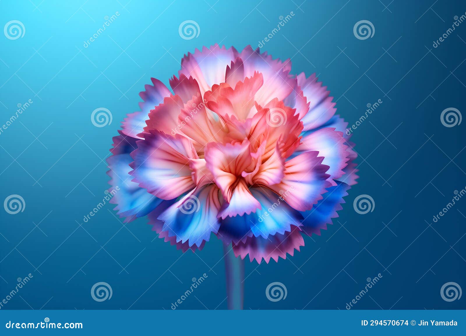 Bright Carnation Flower on a Blue Background. Vector Illustration for ...